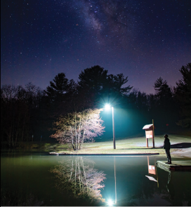 Artist in Focus: William Hicks - TheBurg