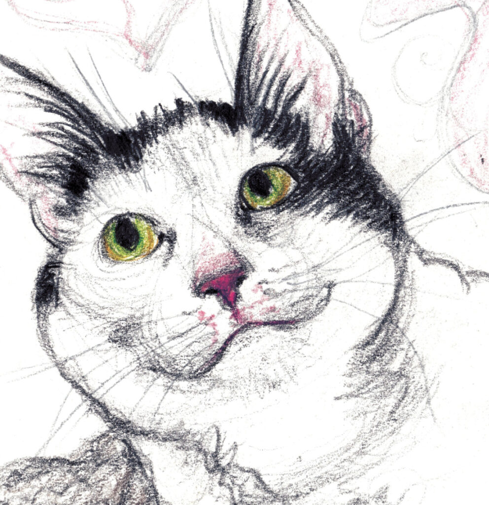 Picture Purrfect: Art show, sale to benefit cat rescues, encourage ...