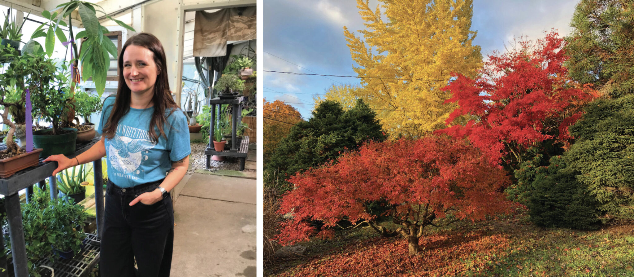 Little Tree Life: Jim Doyle has spent a lifetime dedicated to the art ...