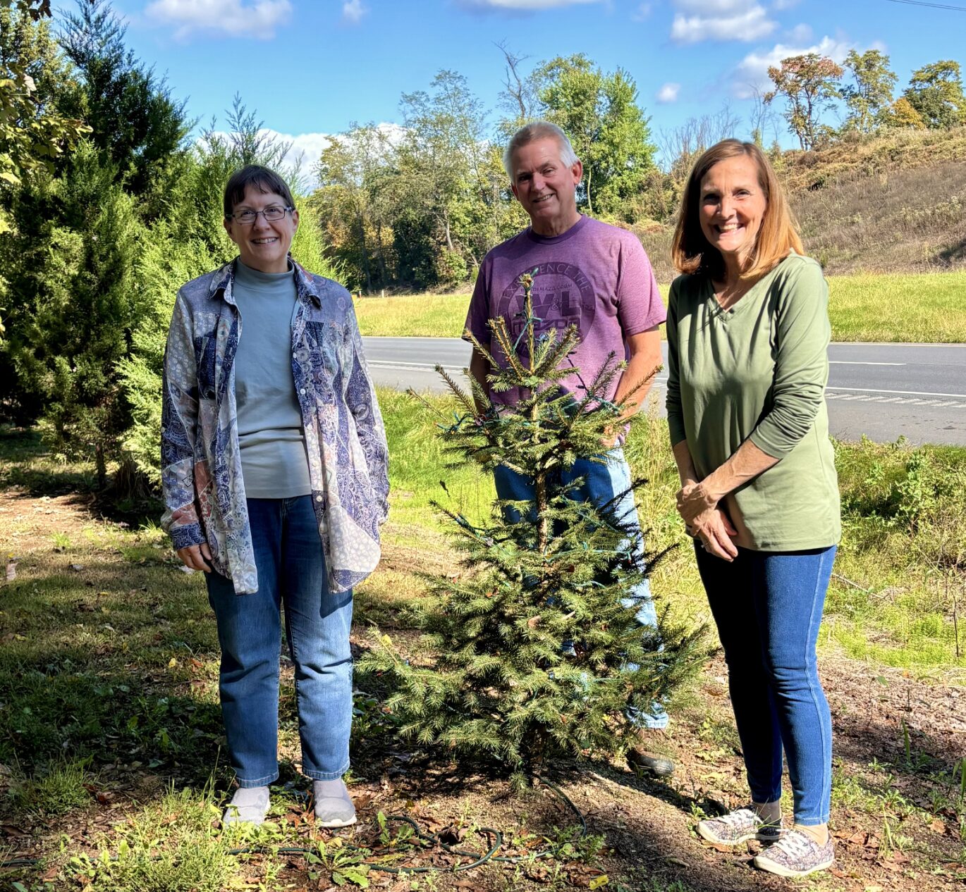 Little Tree of Hope: Unexpected sparkle of Christmas lights brightens ...