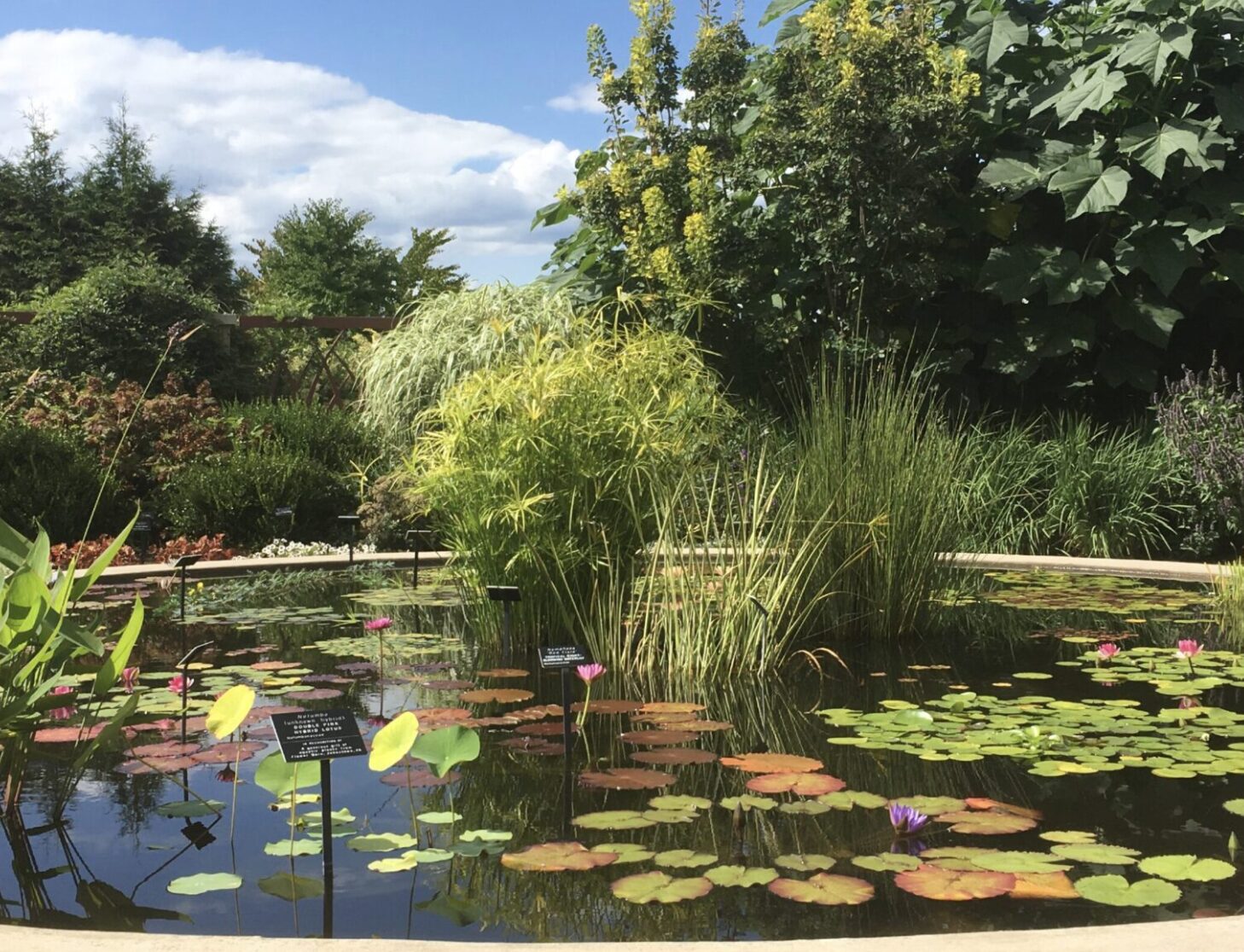 Garden Gallivant: Nature stirs, inspires at these impressive gardens ...
